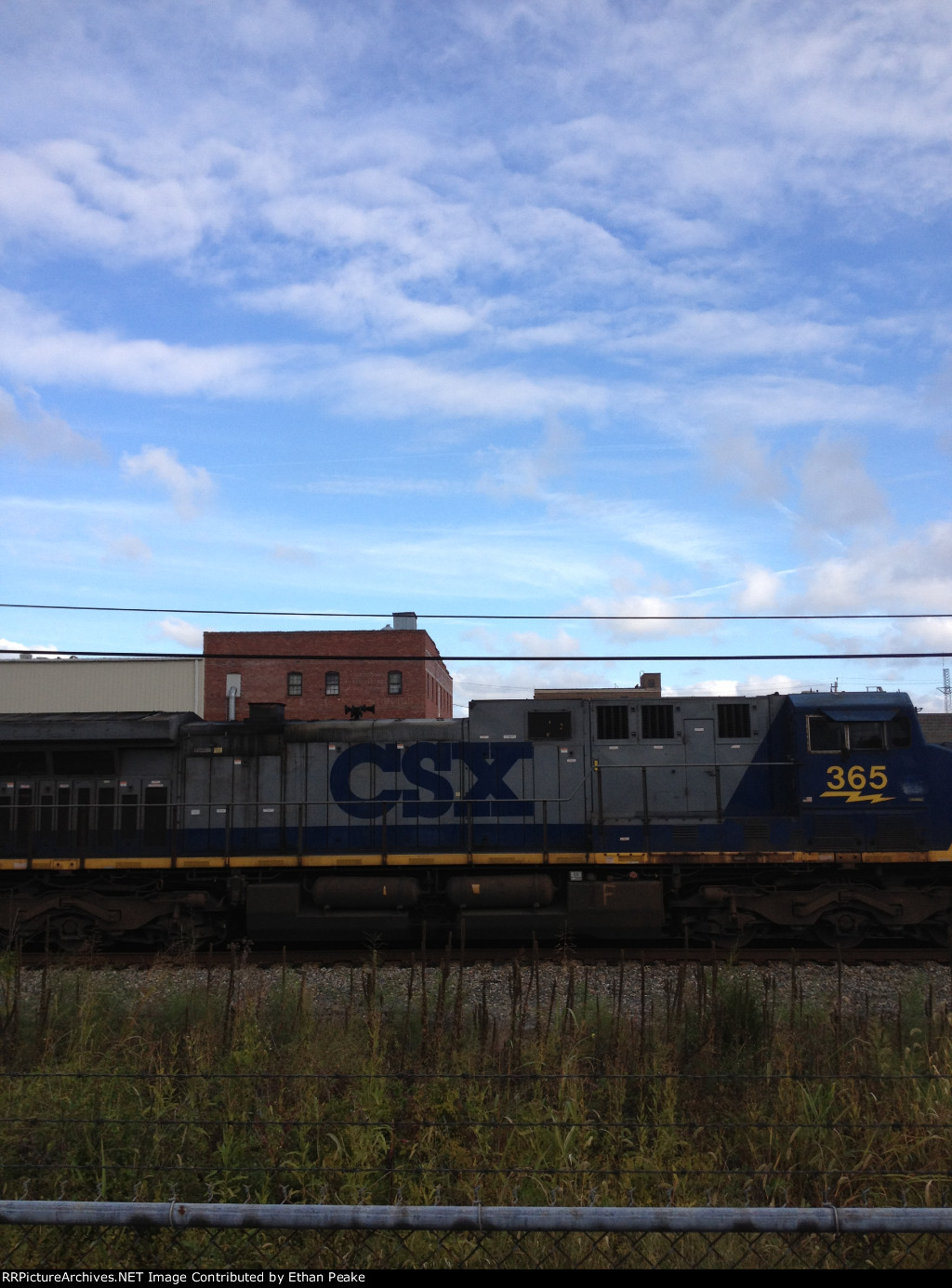 CSX 365